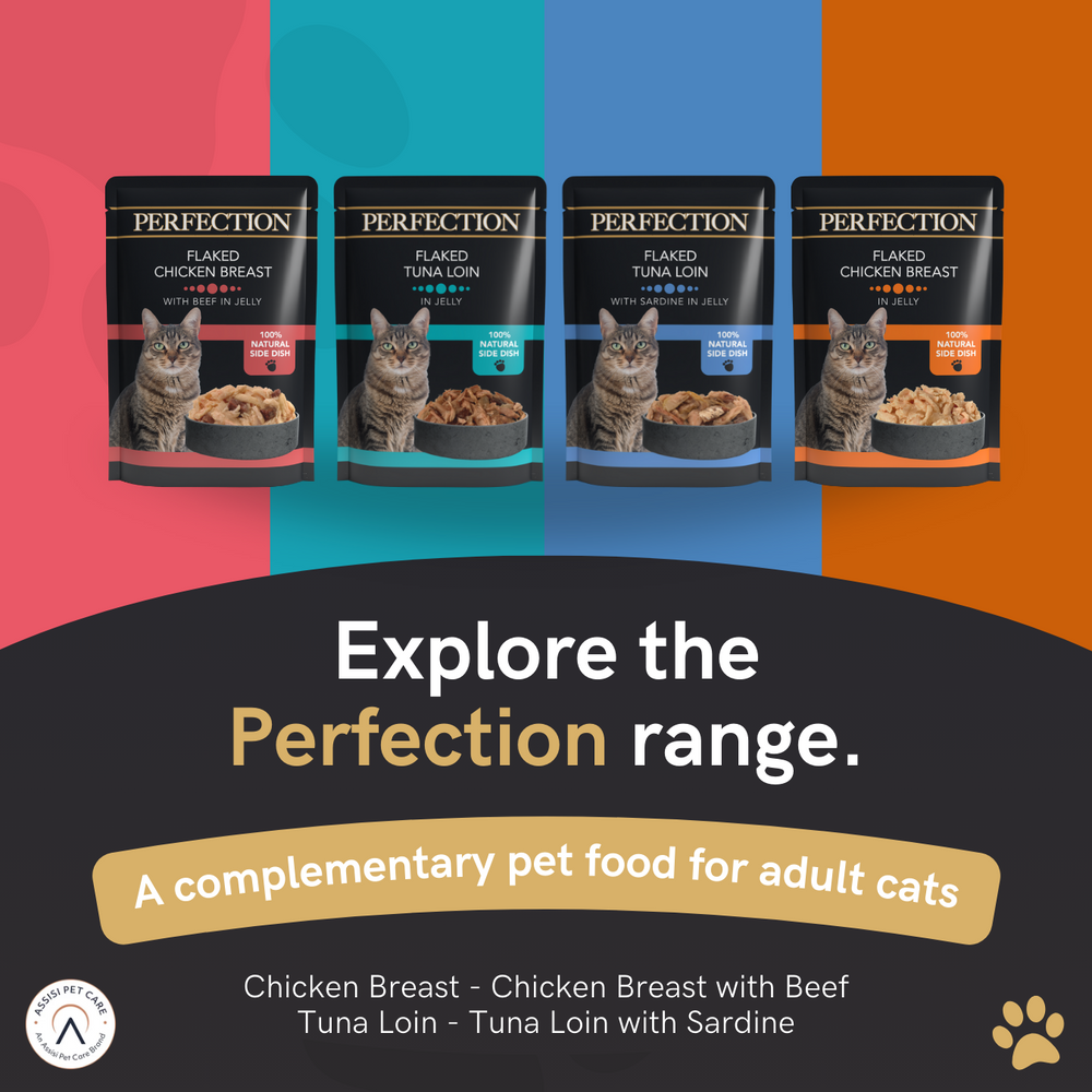 Perfection Adult Cat Flaked Tuna Loin Pouch - 18 Pack - Wet Cat Food